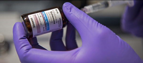 Orientation Guide | Tutorial | DIY | Primer | Walkthrough | How-to